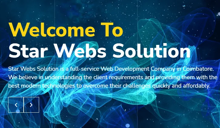 Star Webs Solution Expert Review 2025 and User Reviews
